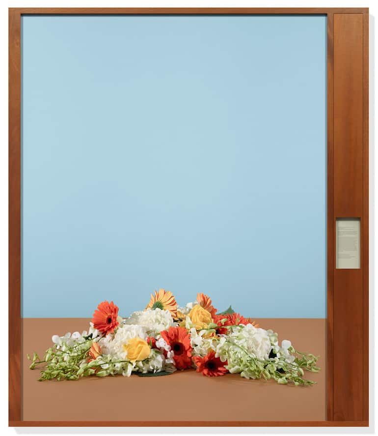 Taryn Simon Exhibition