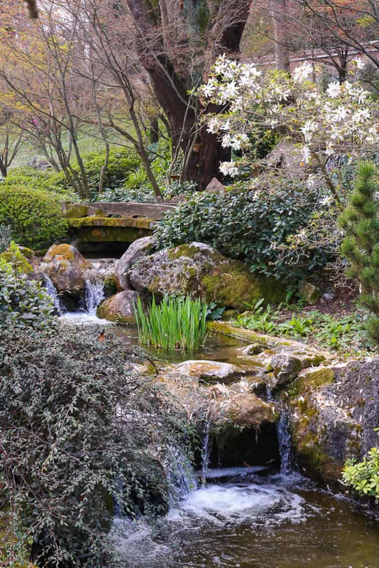 The Botanical Garden of Rome - Reopening