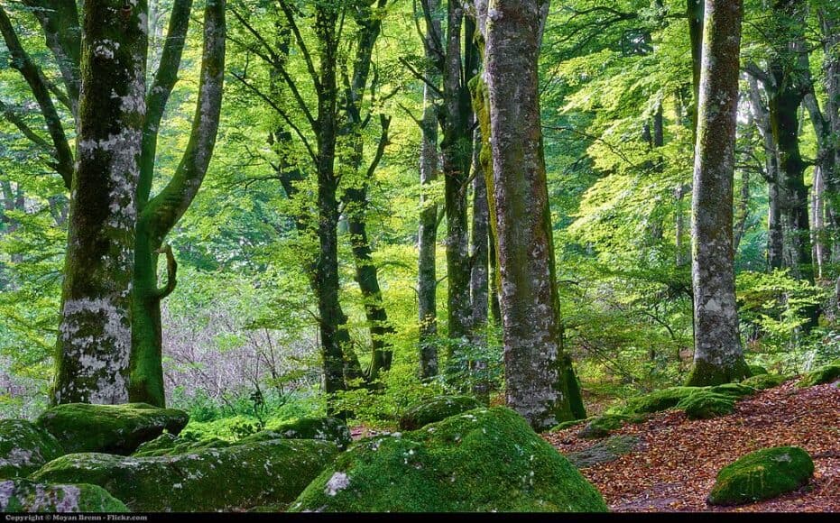 Hiking Near Rome: A Short Guide for Mountain Lovers- Romeing