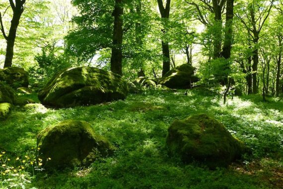 Hiking Near Rome: A Short Guide for Mountain Lovers- Romeing