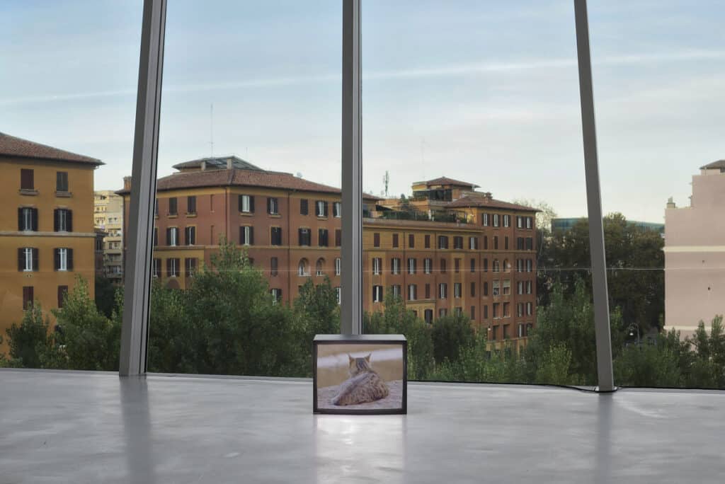 MAXXI: National Museum of 21st Century Arts in Rome - Romeing